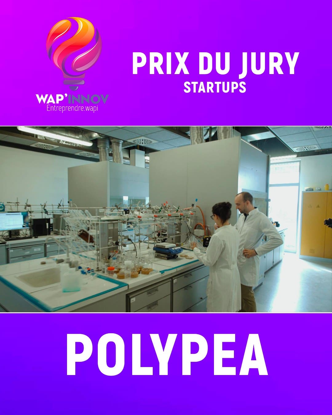 Polypea - Entreprendre.Wapi